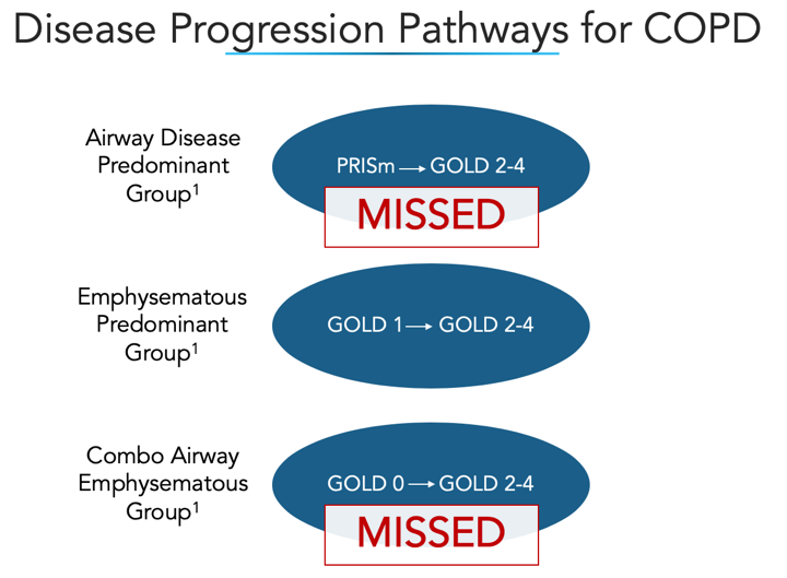 Literature Review: COPDGene® 2019: Redefining the Diagnosis of Chronic ...